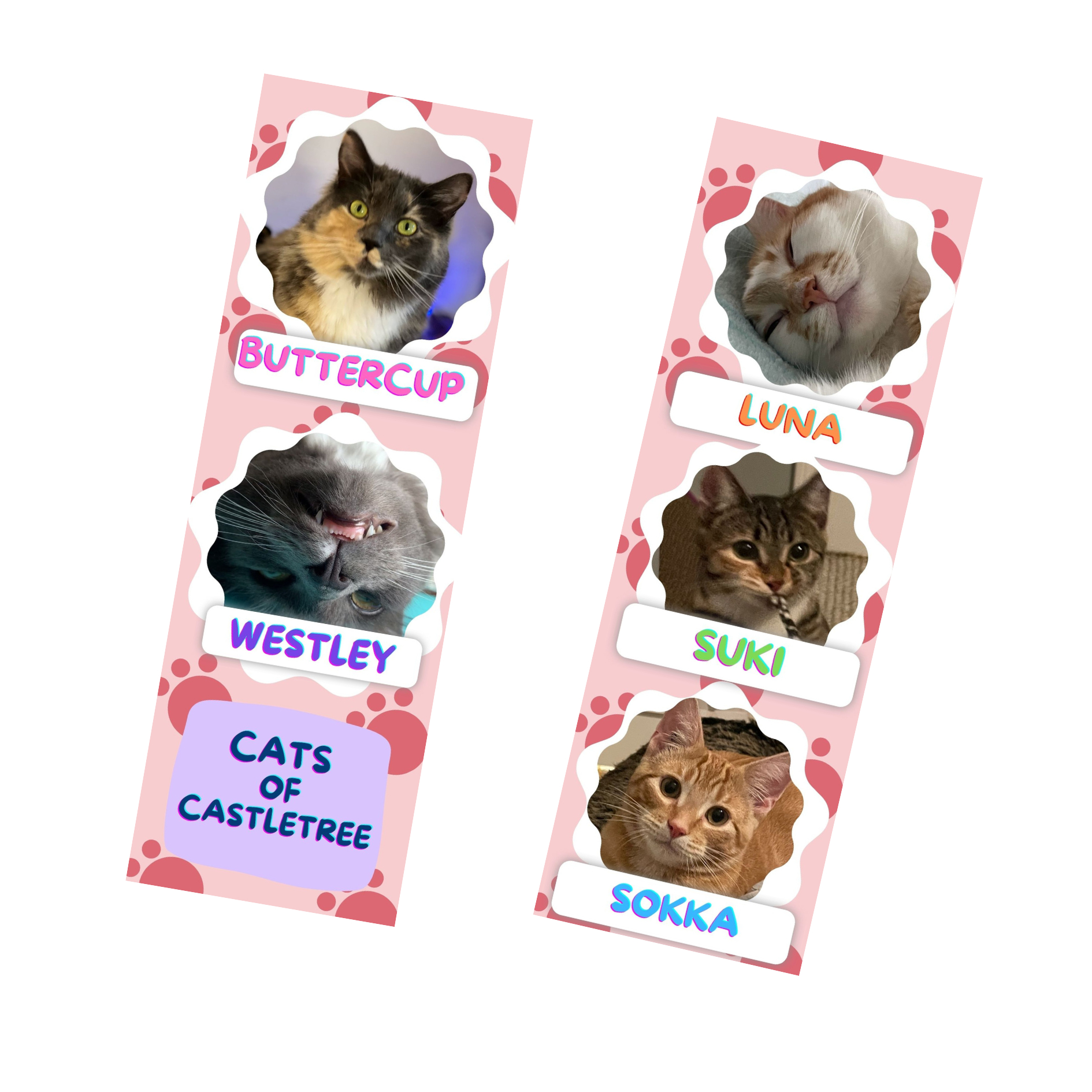 Elizabeth Helen Online Store – Elizabeth Helen's Books